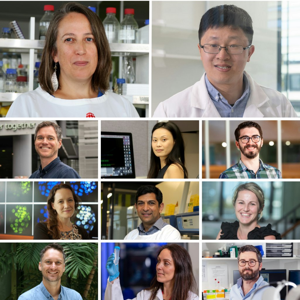 Snow Medical | Overview