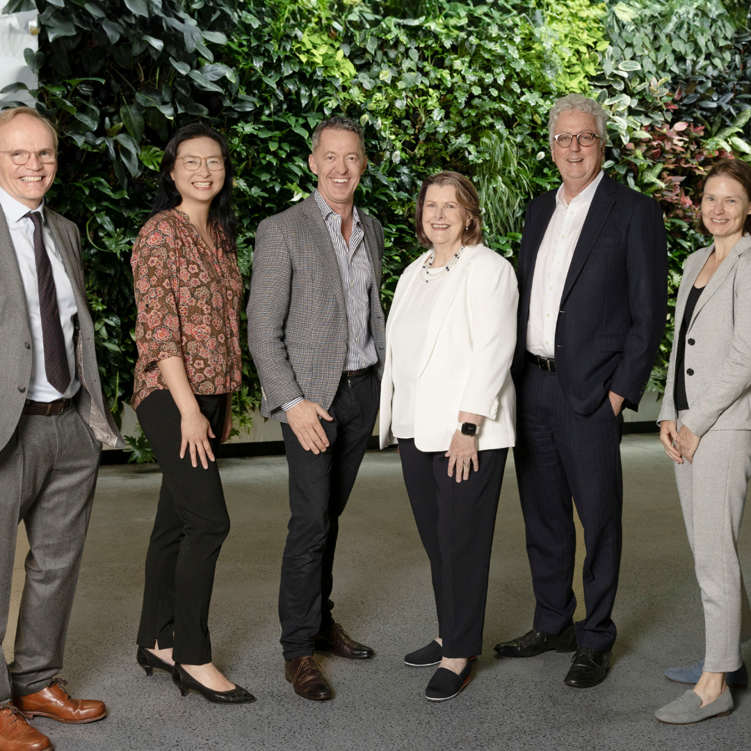 Snow Medical | Snow Vision Accelerator