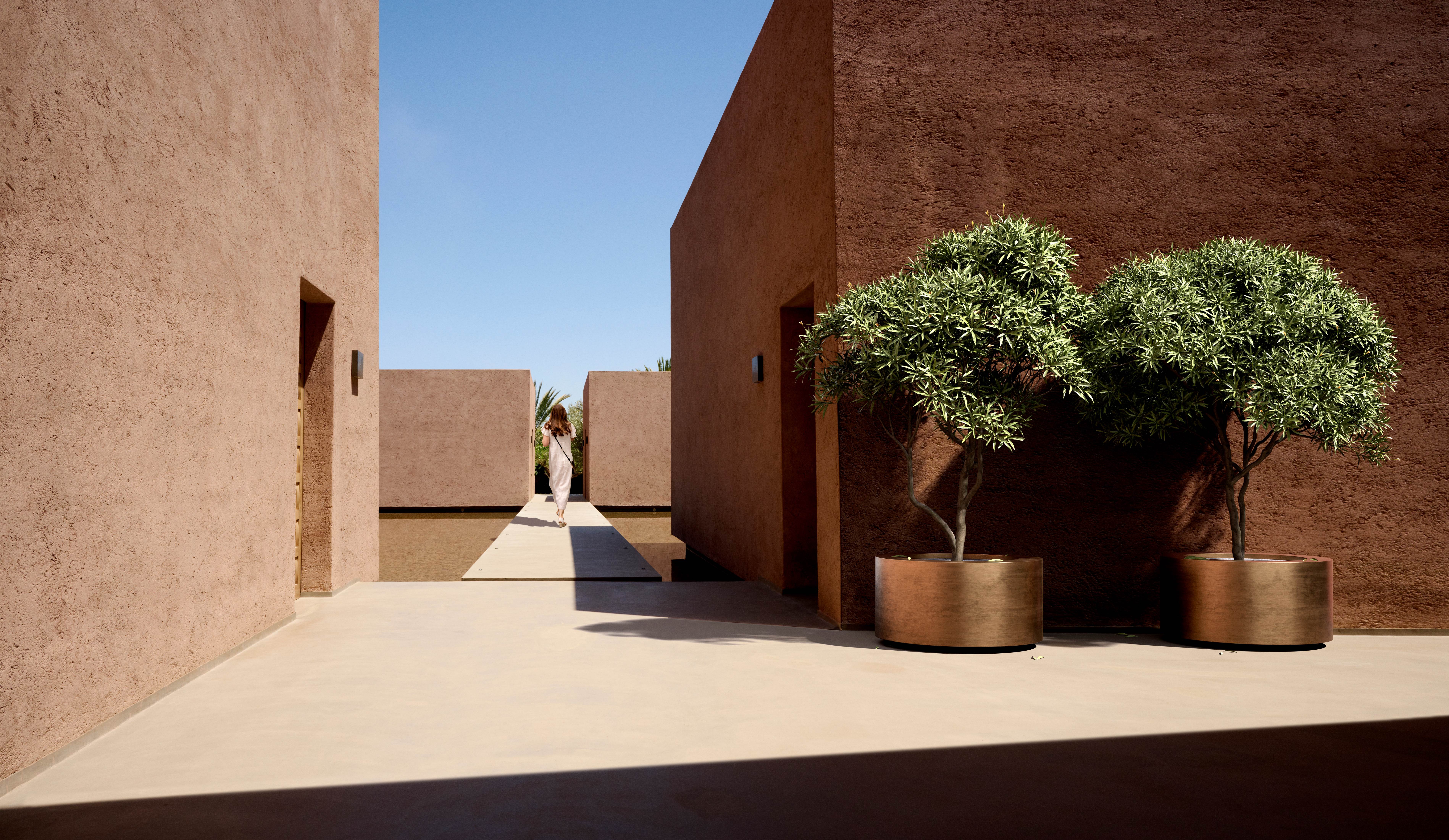 Planters | Royal Botania