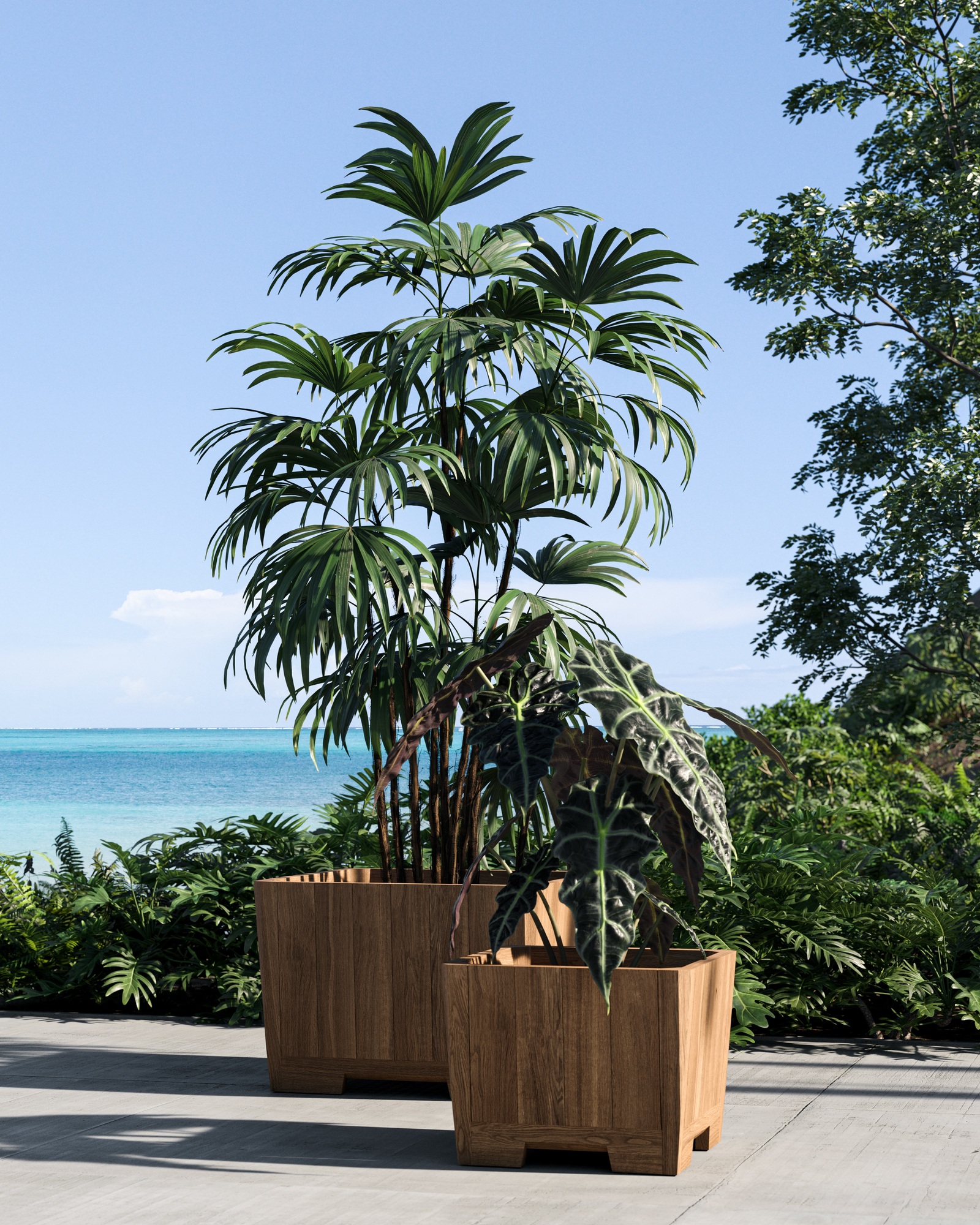 Planters | Royal Botania