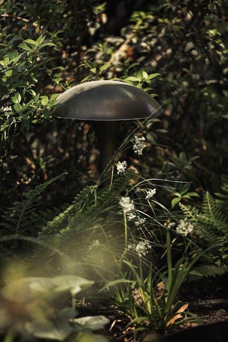 The Glasshouse by Royal Botania | Showroom in Belgium