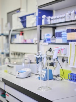 Team – Bruno Weber Lab