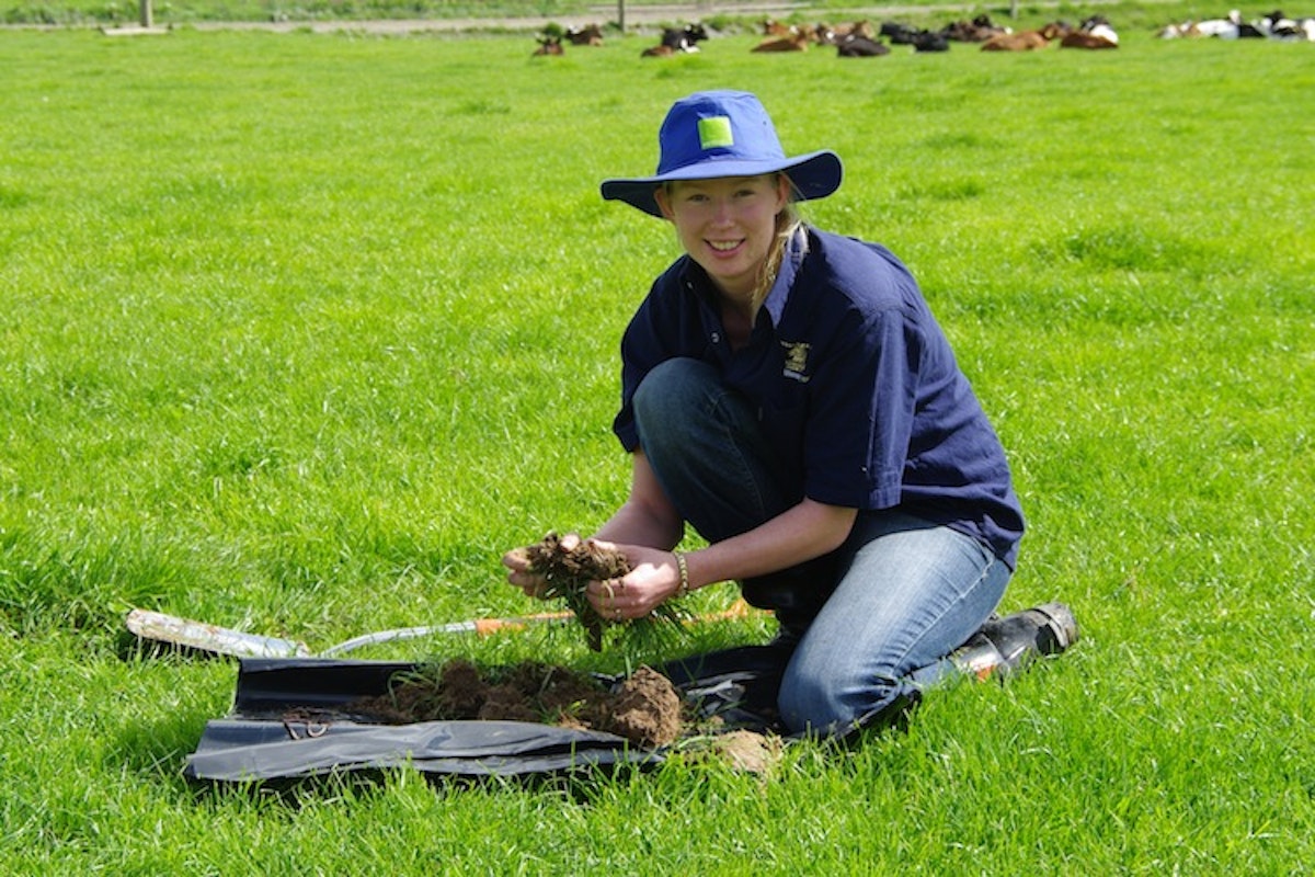 The role of observation in science — Science Learning Hub