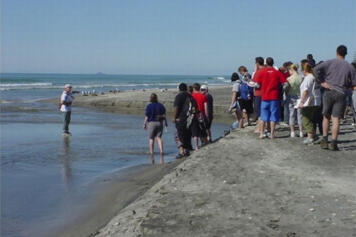 Beach field trip — Science Learning Hub