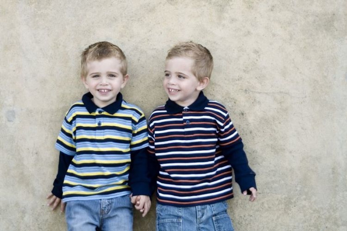 Twins — Science Learning Hub