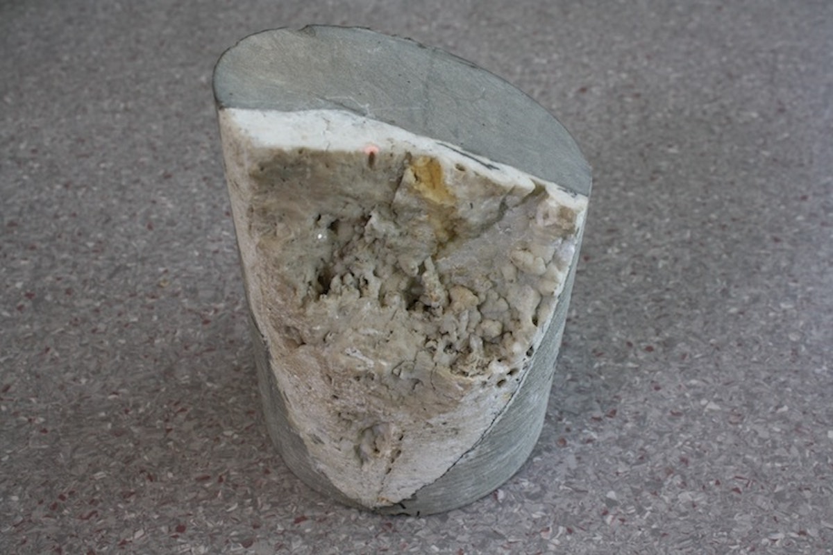 Core sample from the Tikorangi limestone