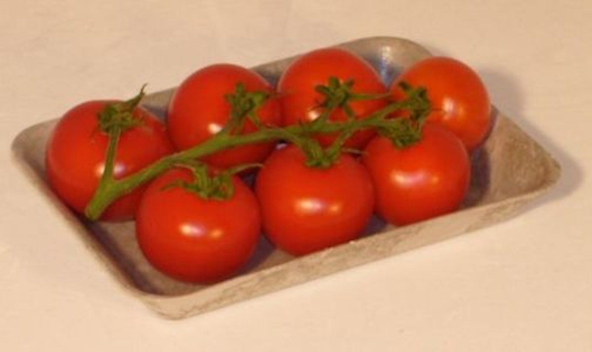 Tomatoes on a potato plate — Science Learning Hub
