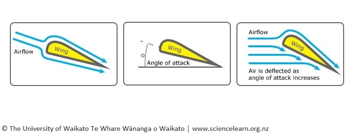 Angle of attack — Science Learning Hub