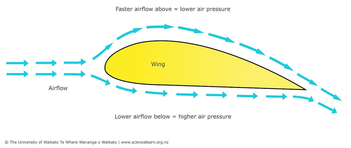 Wings and lift — Science Learning Hub