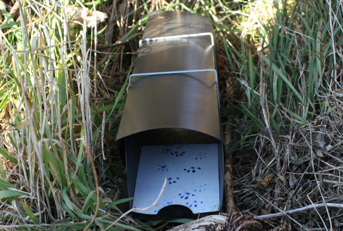 Making a tracking tunnel — Science Learning Hub