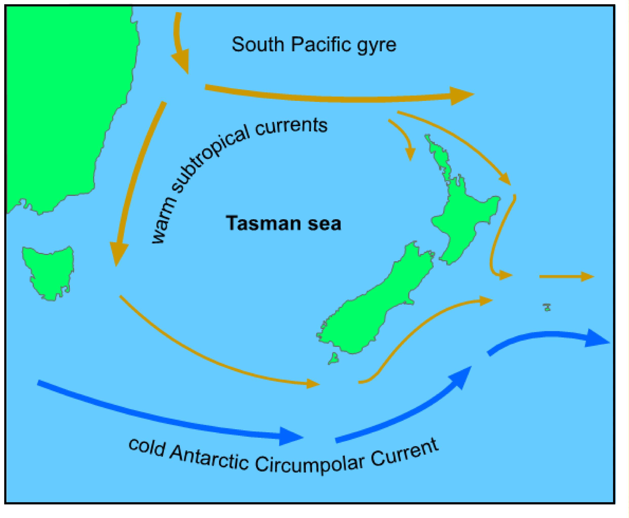 Ocean Currents Map Illustrated Map Showing Coastal Ocean Current