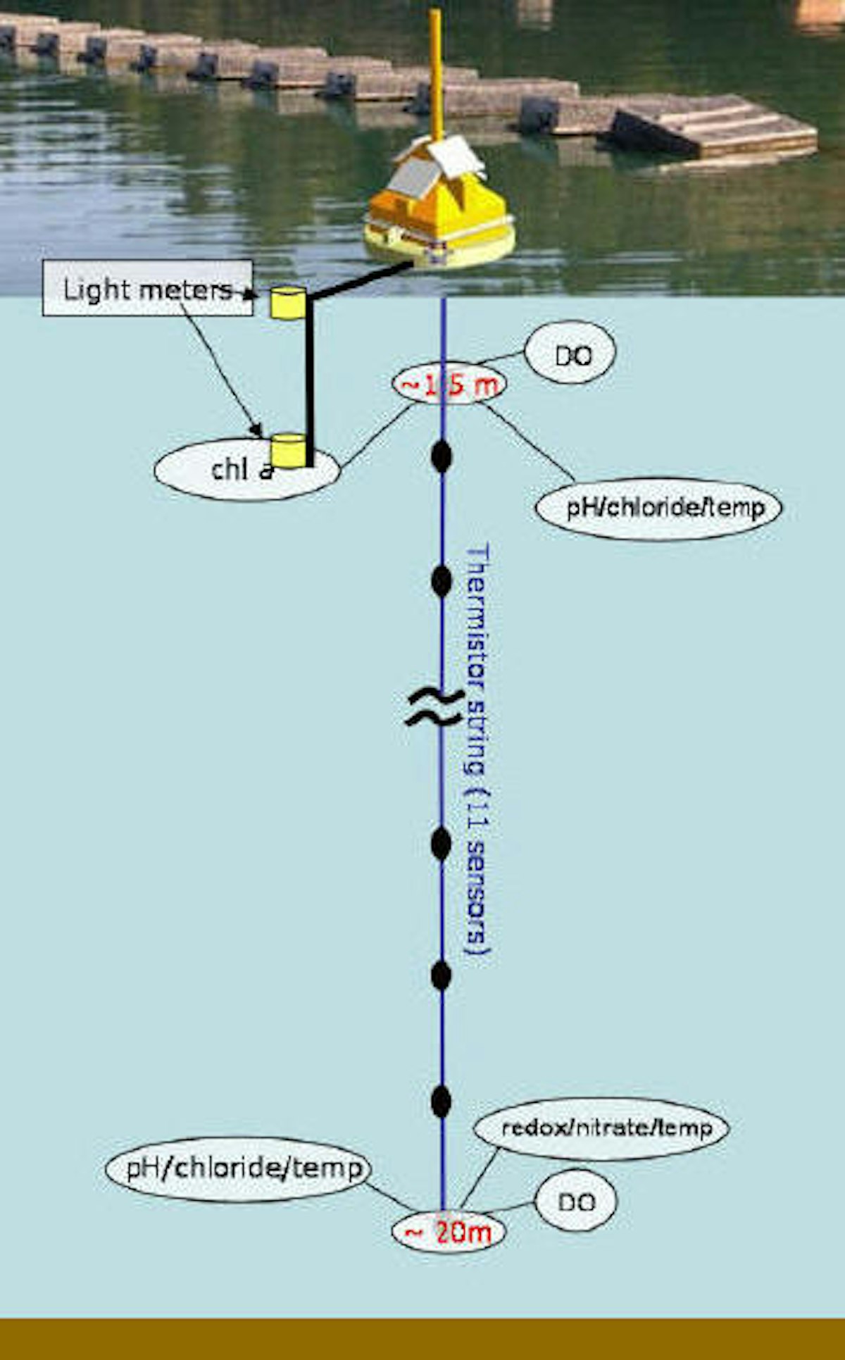Buoy design — Science Learning Hub