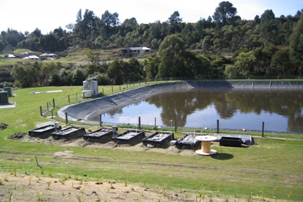 Testing types of denitrification beds — Science Learning Hub