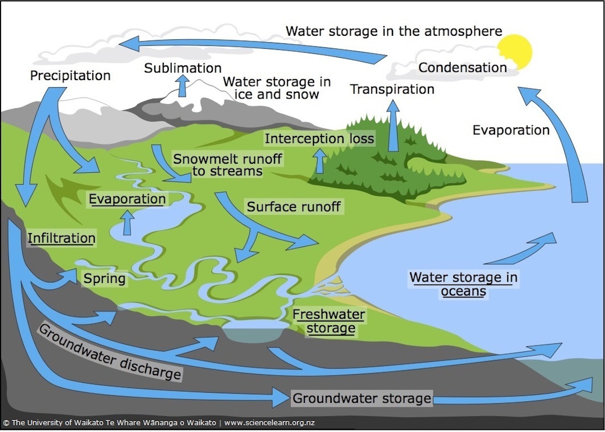 The water cycle — Science Learning Hub