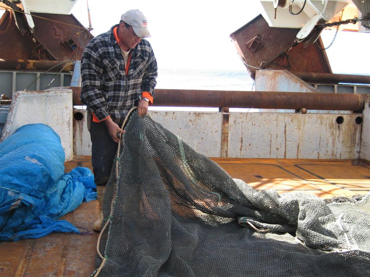 Repairing nets — Science Learning Hub