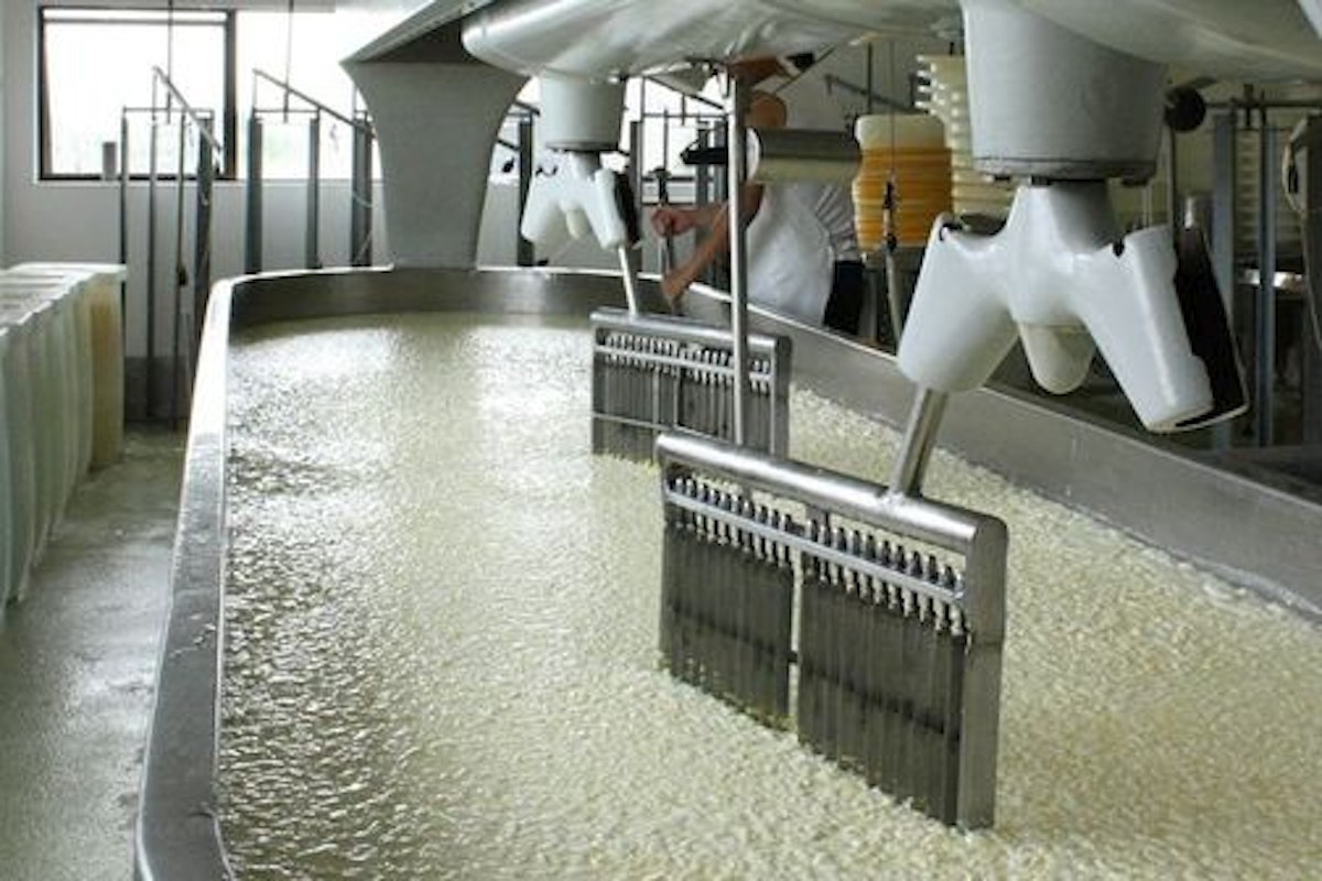 Separating curds and whey — Science Learning Hub