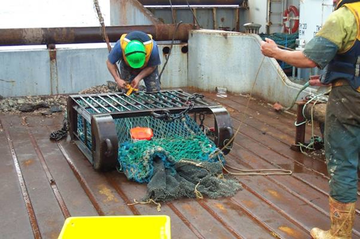 Sampling seamounts — Science Learning Hub