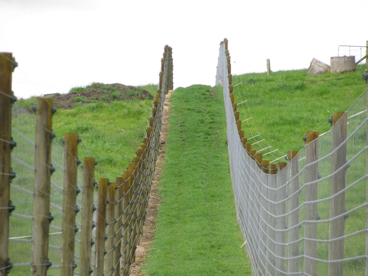 Secure fencing — Science Learning Hub