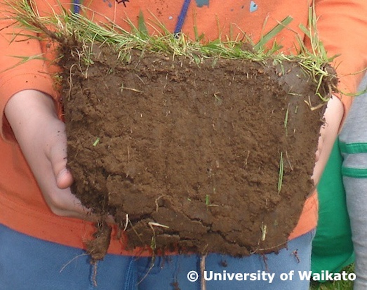 Visual soil assessment — Science Learning Hub