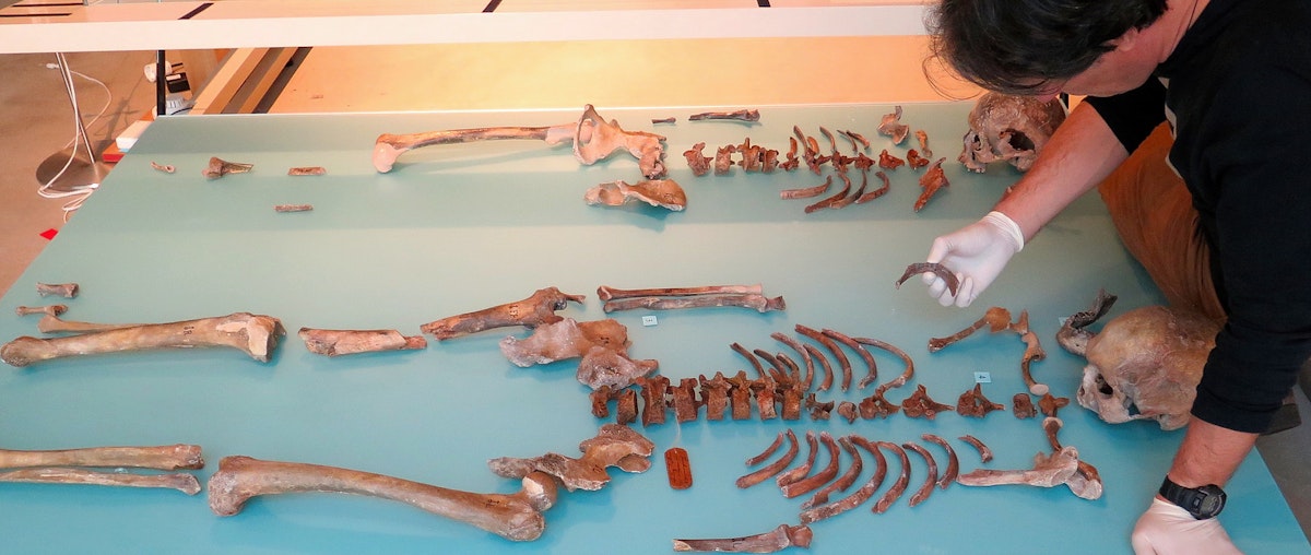 Tom Higham and skeleton — Science Learning Hub