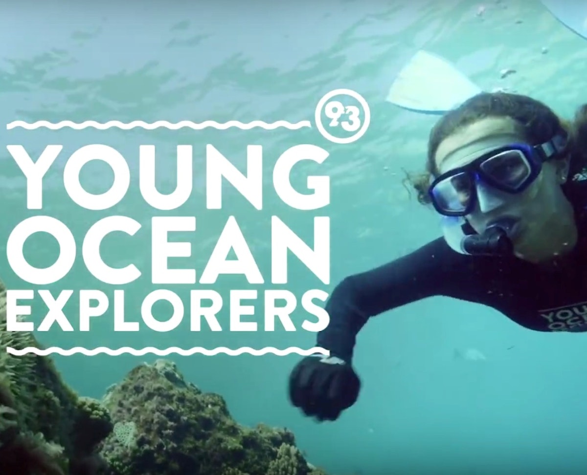 Young Ocean Explorers – the TV series