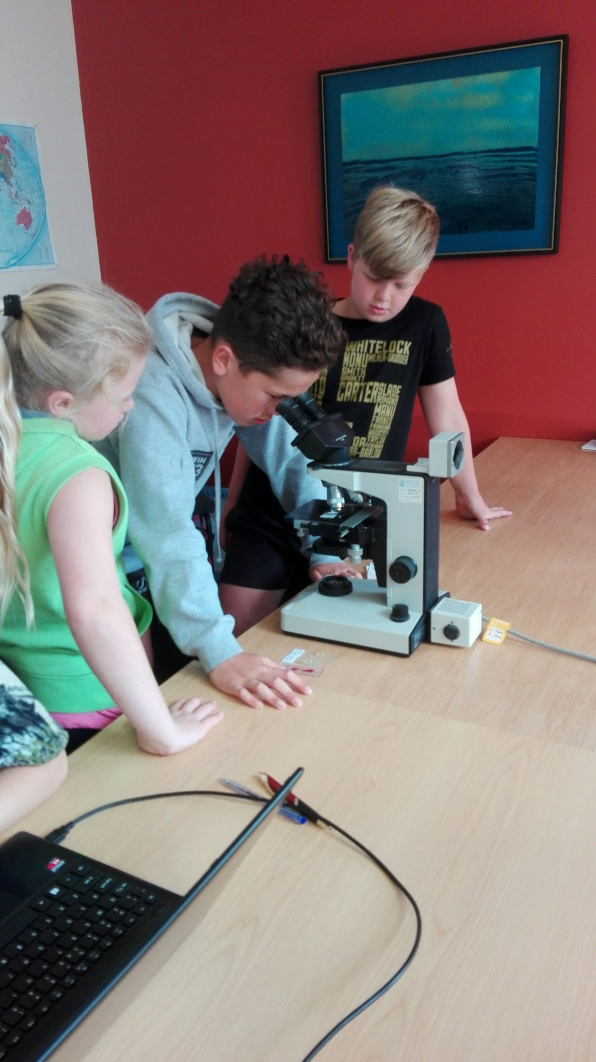 CAPOW students using a microscope — Science Learning Hub
