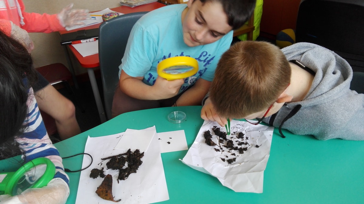 Participatory science and composting – CAPOW