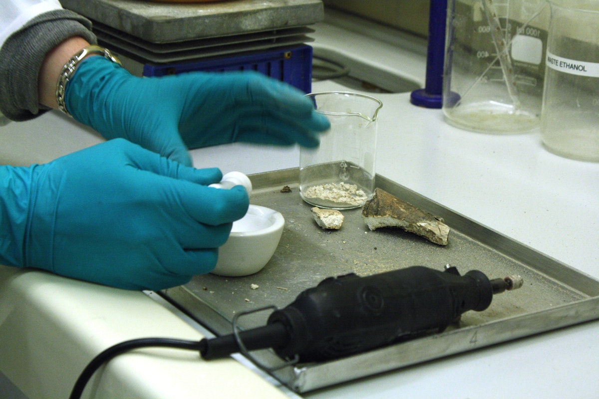 Grinding bone sample — Science Learning Hub