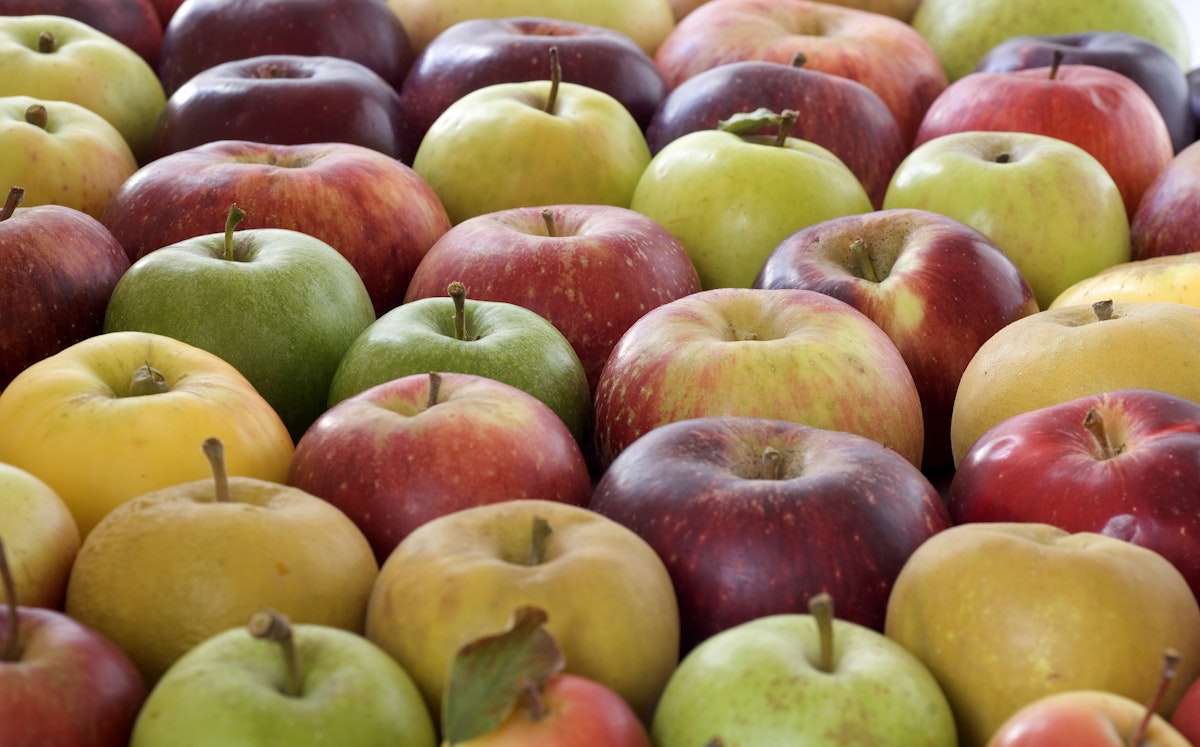 Assessing apples — Science Learning Hub