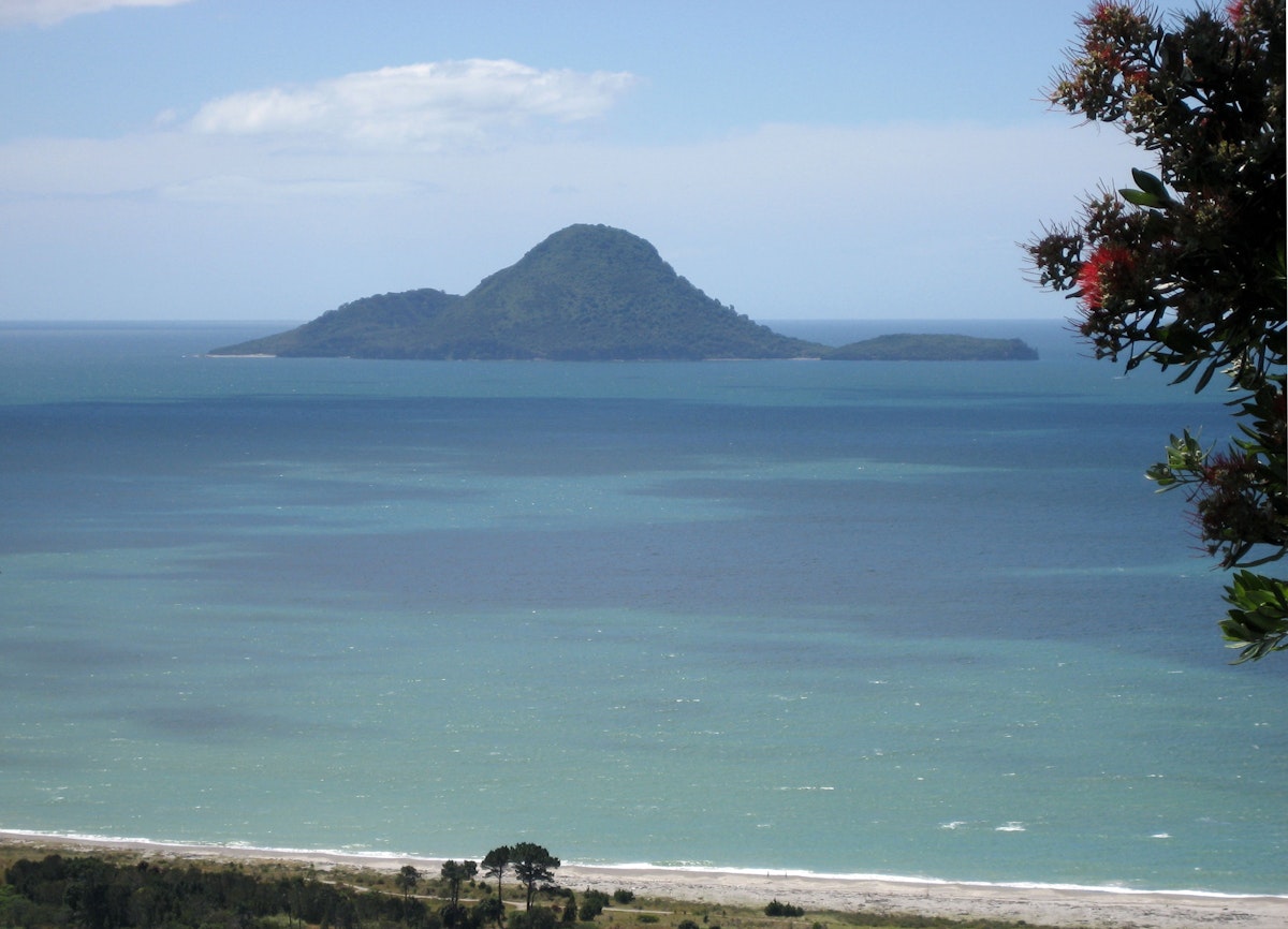 Whale Island — Science Learning Hub