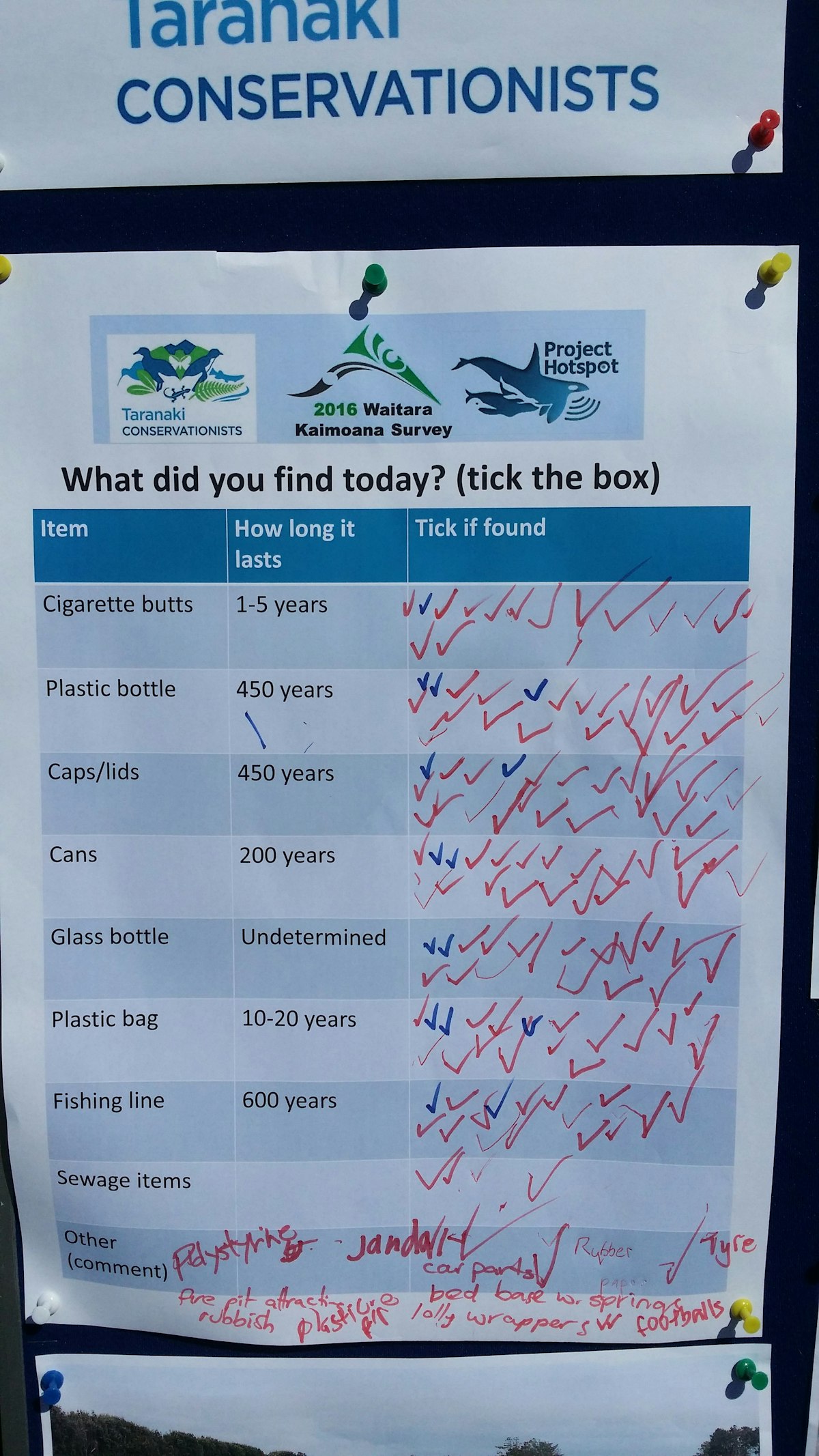 What do you find at a beach clean-up? — Science Learning Hub