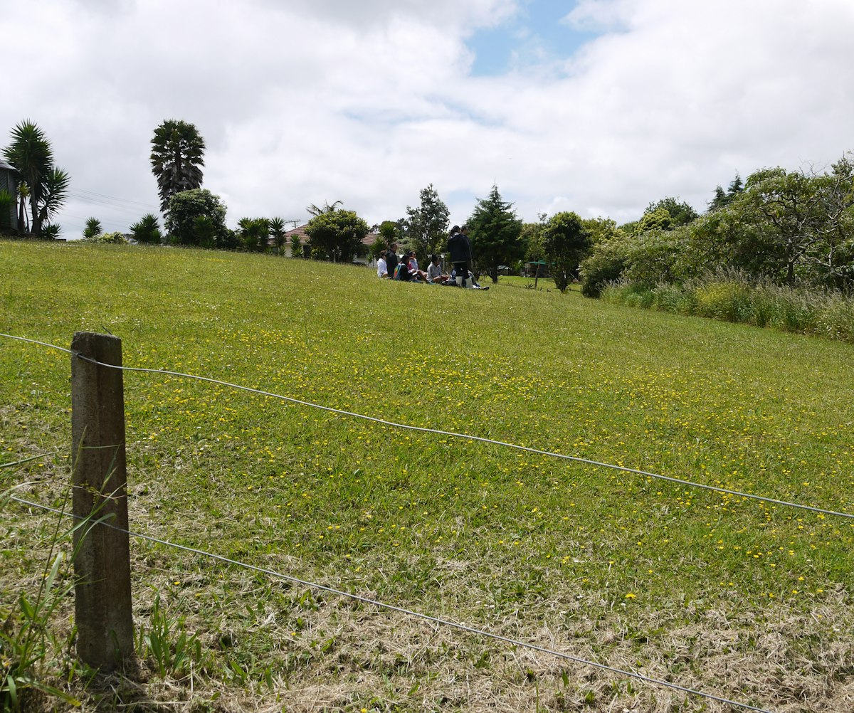 Observing the stream environs — Science Learning Hub