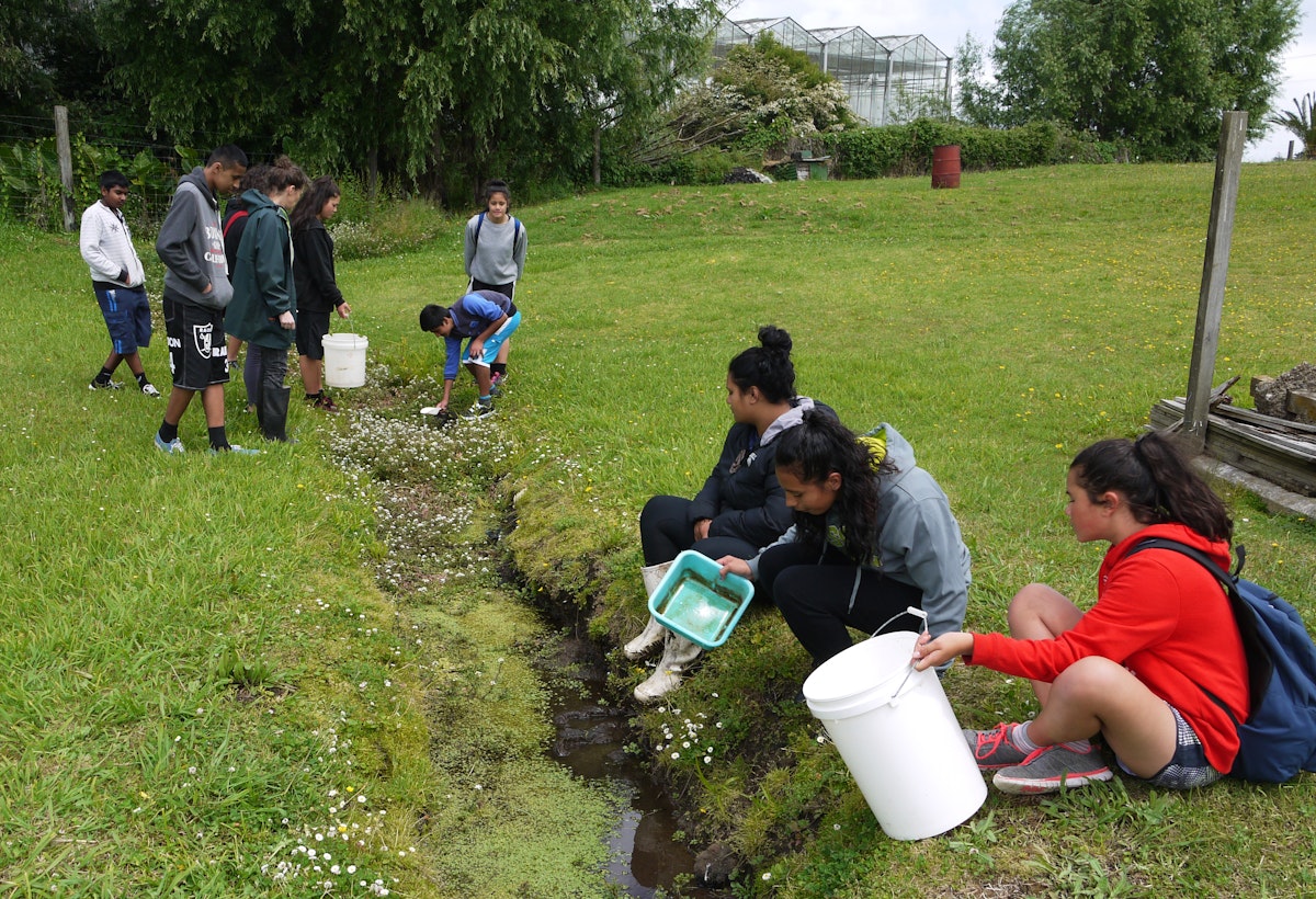 Muddy bottom — Science Learning Hub
