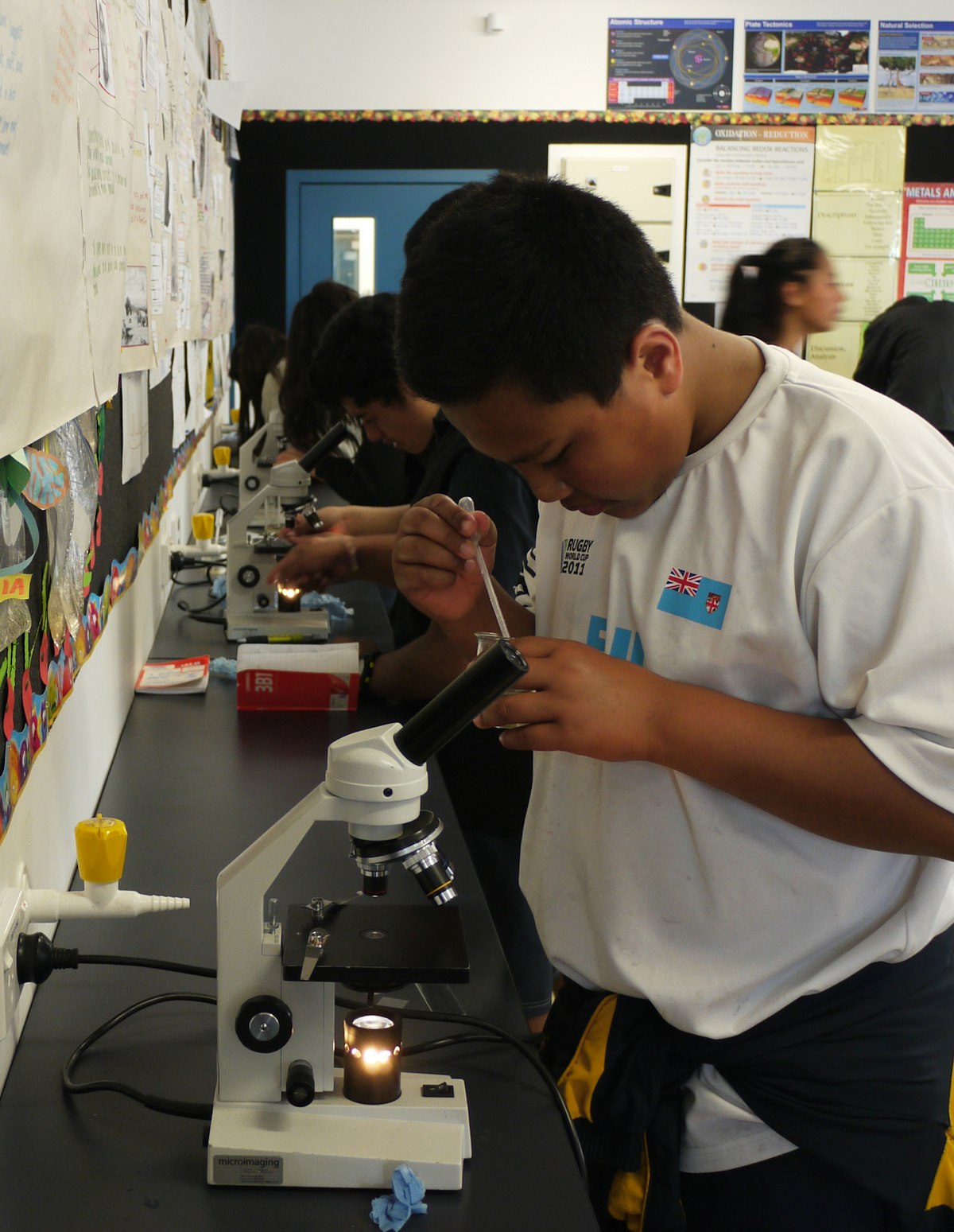 Using a microscope — Science Learning Hub