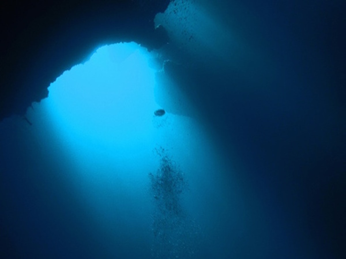 Deep ocean — Science Learning Hub