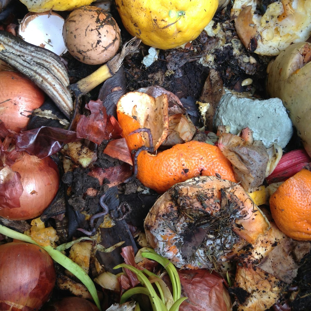 Decay — Science Learning Hub