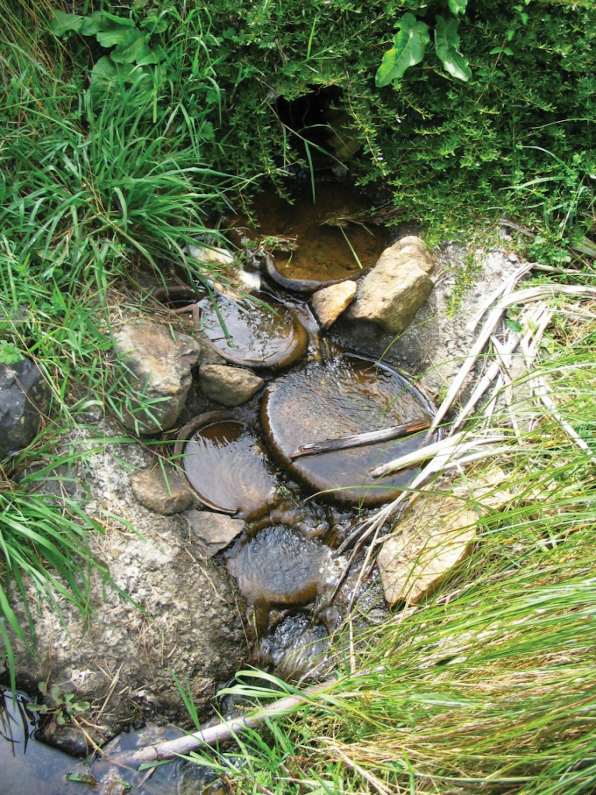 Novel pottery fish ladders — Science Learning Hub