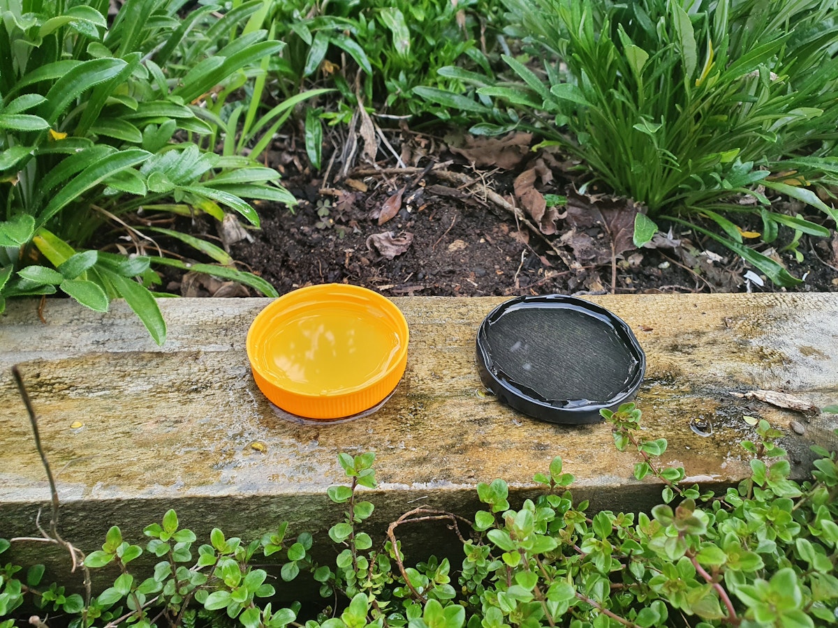 Yellow pan traps – monitoring flying insects