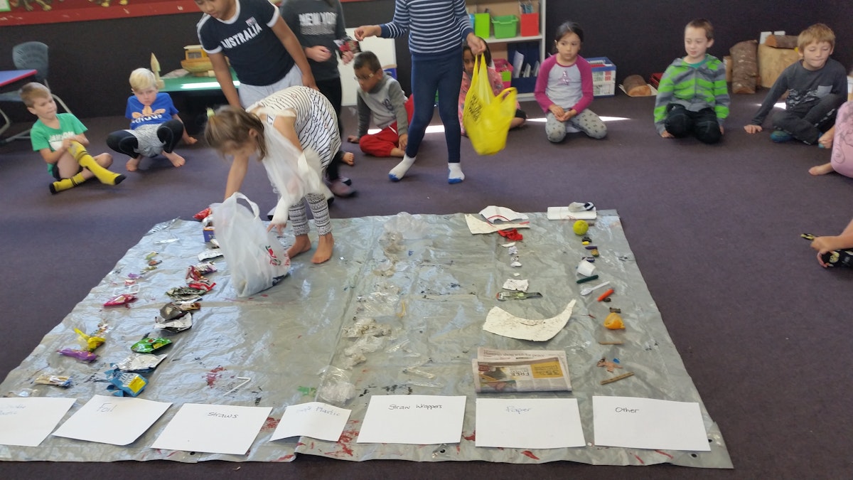 Litter categorising — Science Learning Hub