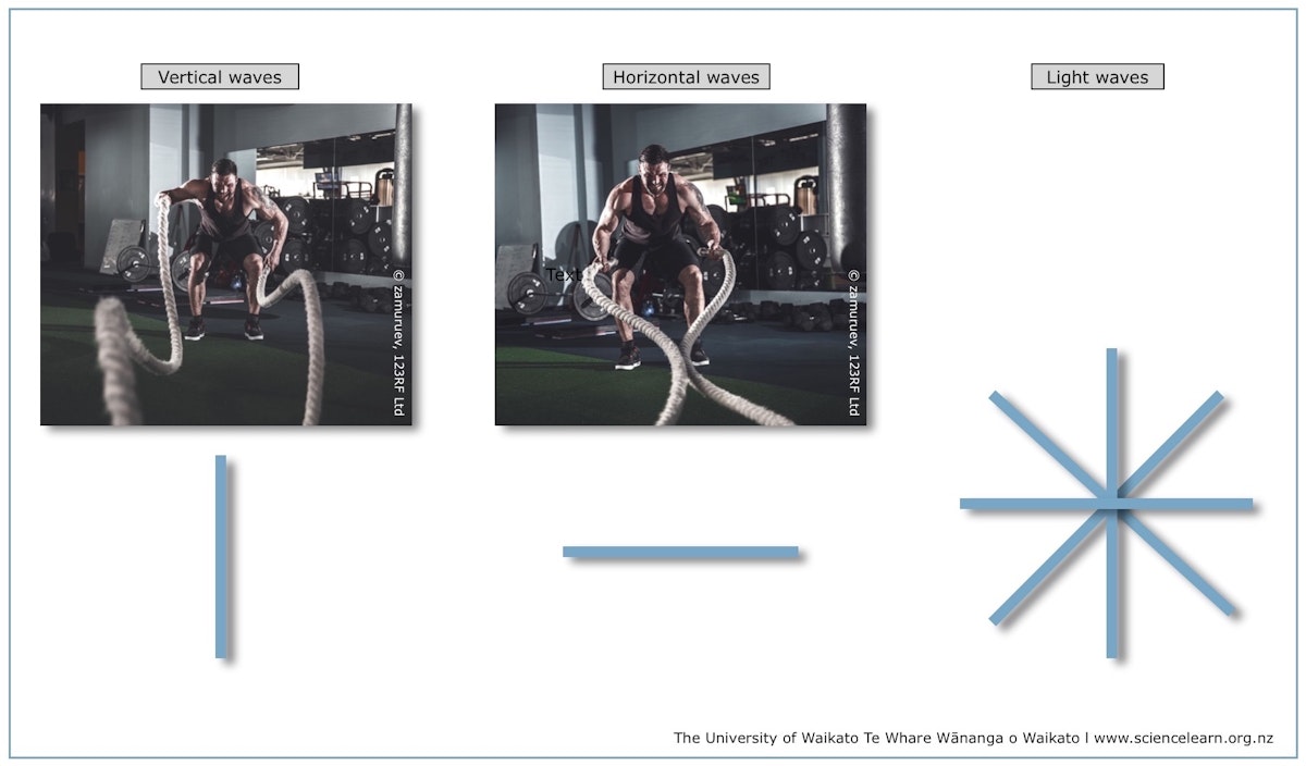 Waves on ropes — Science Learning Hub