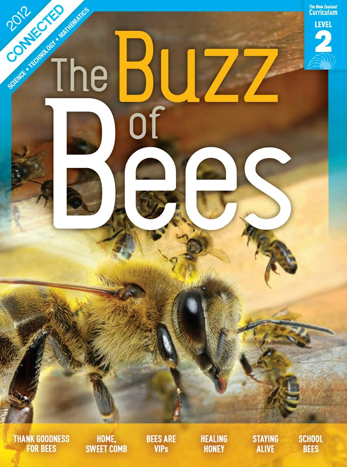 The buzz of bees — Science Learning Hub