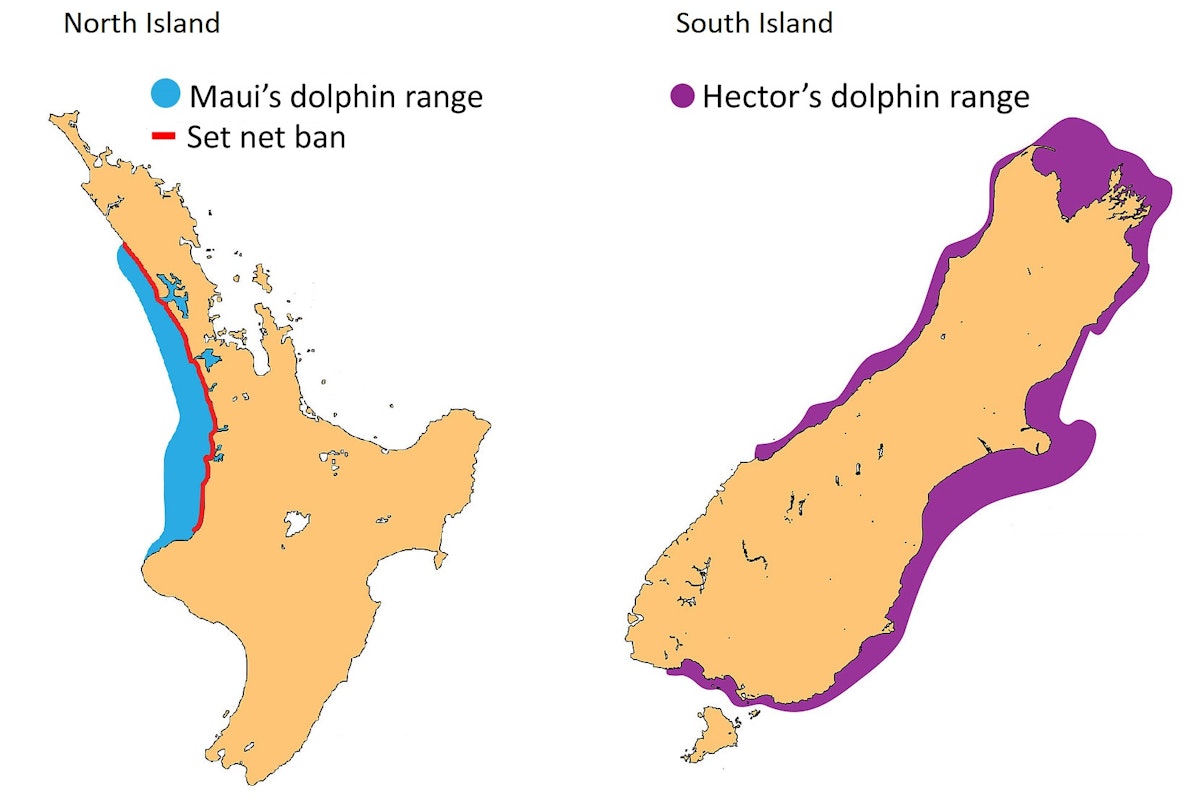 Hector’s and Māui dolphin map — Science Learning Hub