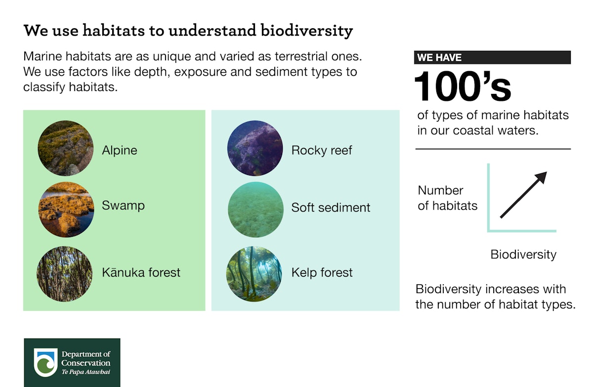 Classifying marine habitats — Science Learning Hub