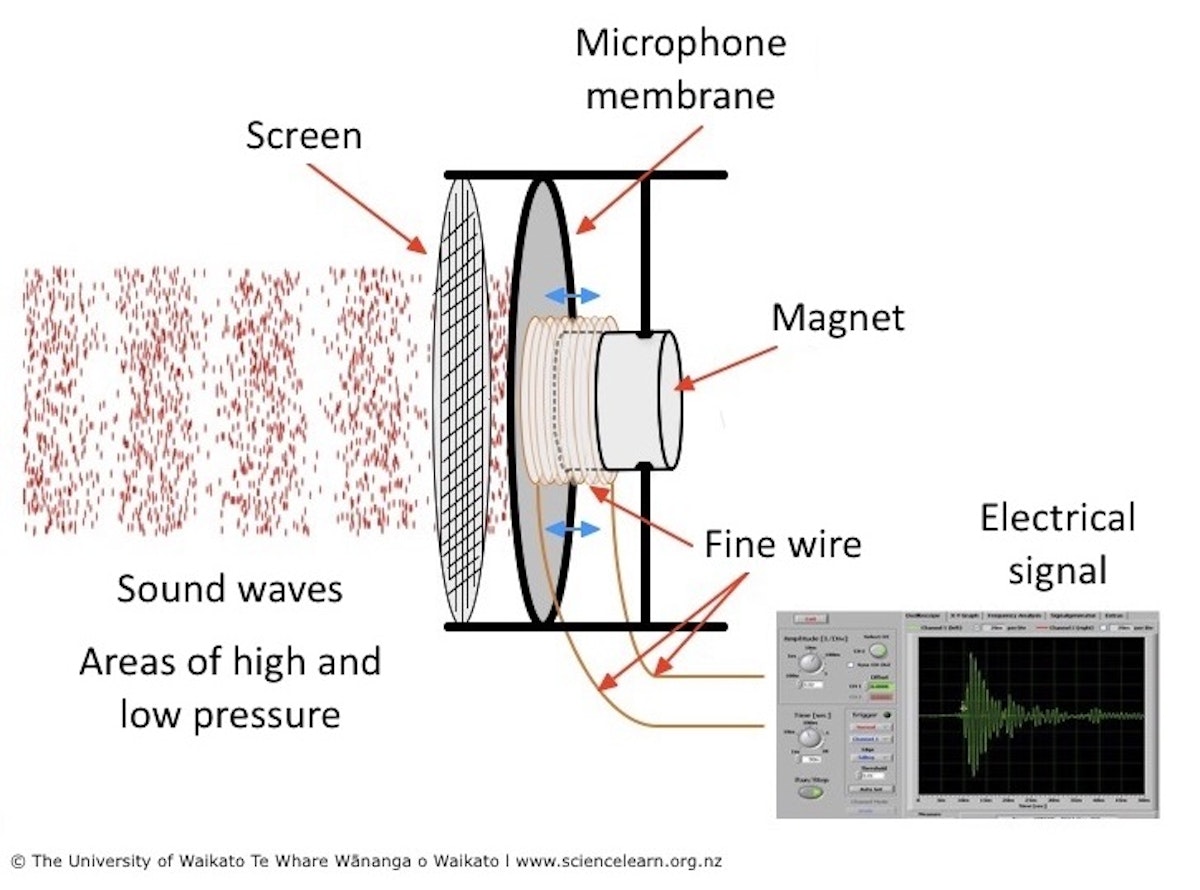 Sound – visualising sound waves — Science Learning Hub