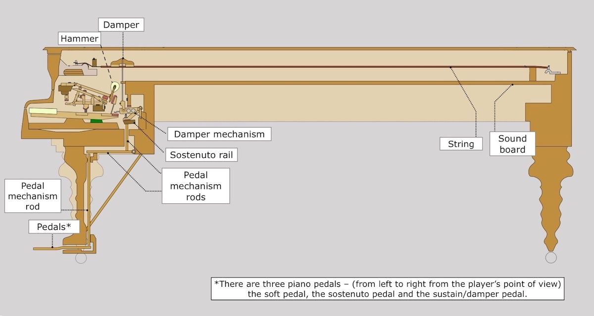 Sound – resonance — Science Learning Hub