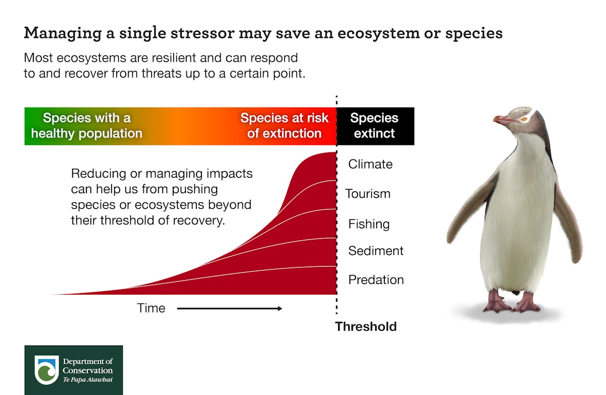Managing stressors — Science Learning Hub