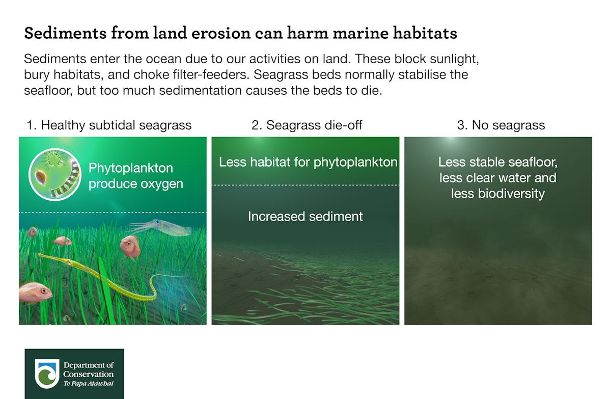 Sediments from the land — Science Learning Hub