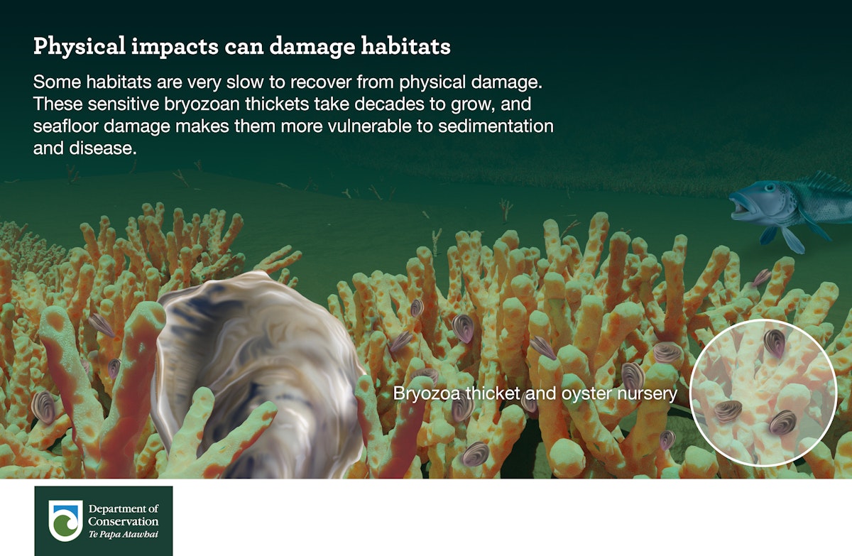 Physical damage — Science Learning Hub