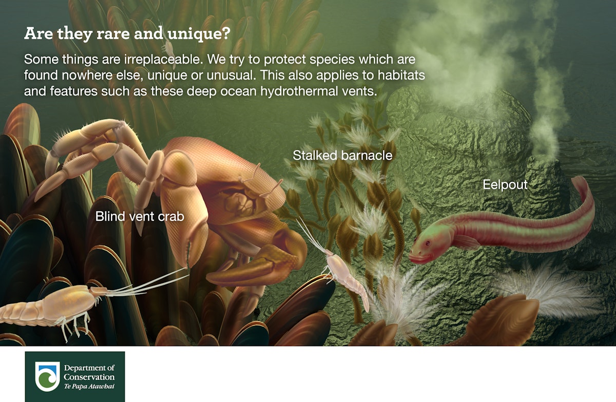 Unique/endemic — Science Learning Hub