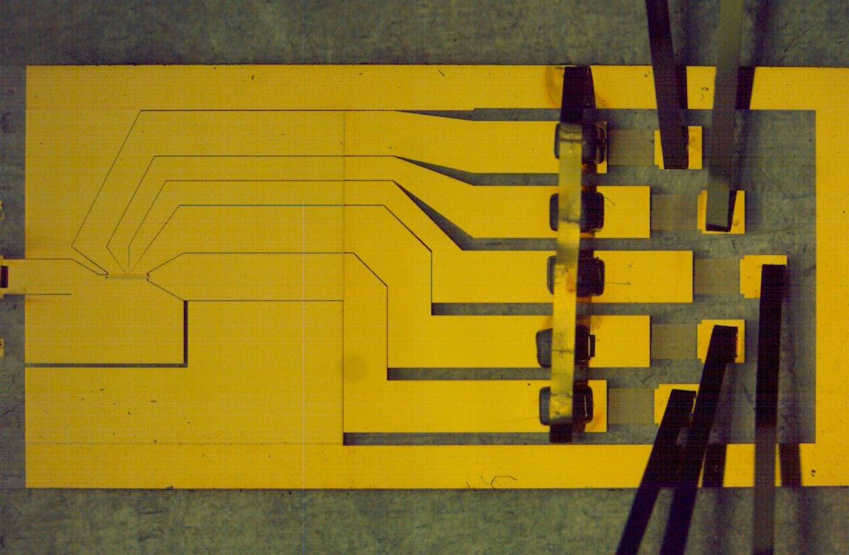 Gold electrodes — Science Learning Hub